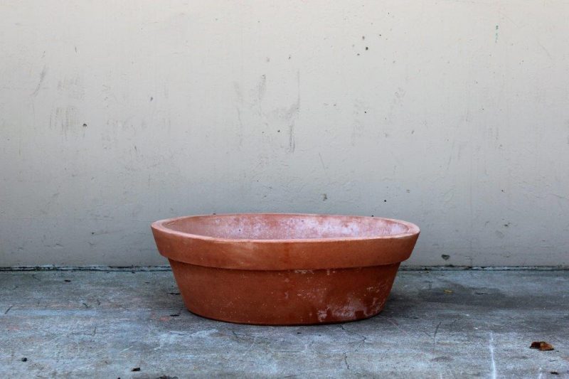 TERRA COTTA - Goodwin International