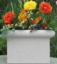 CHELSEA BOX - Goodwin International